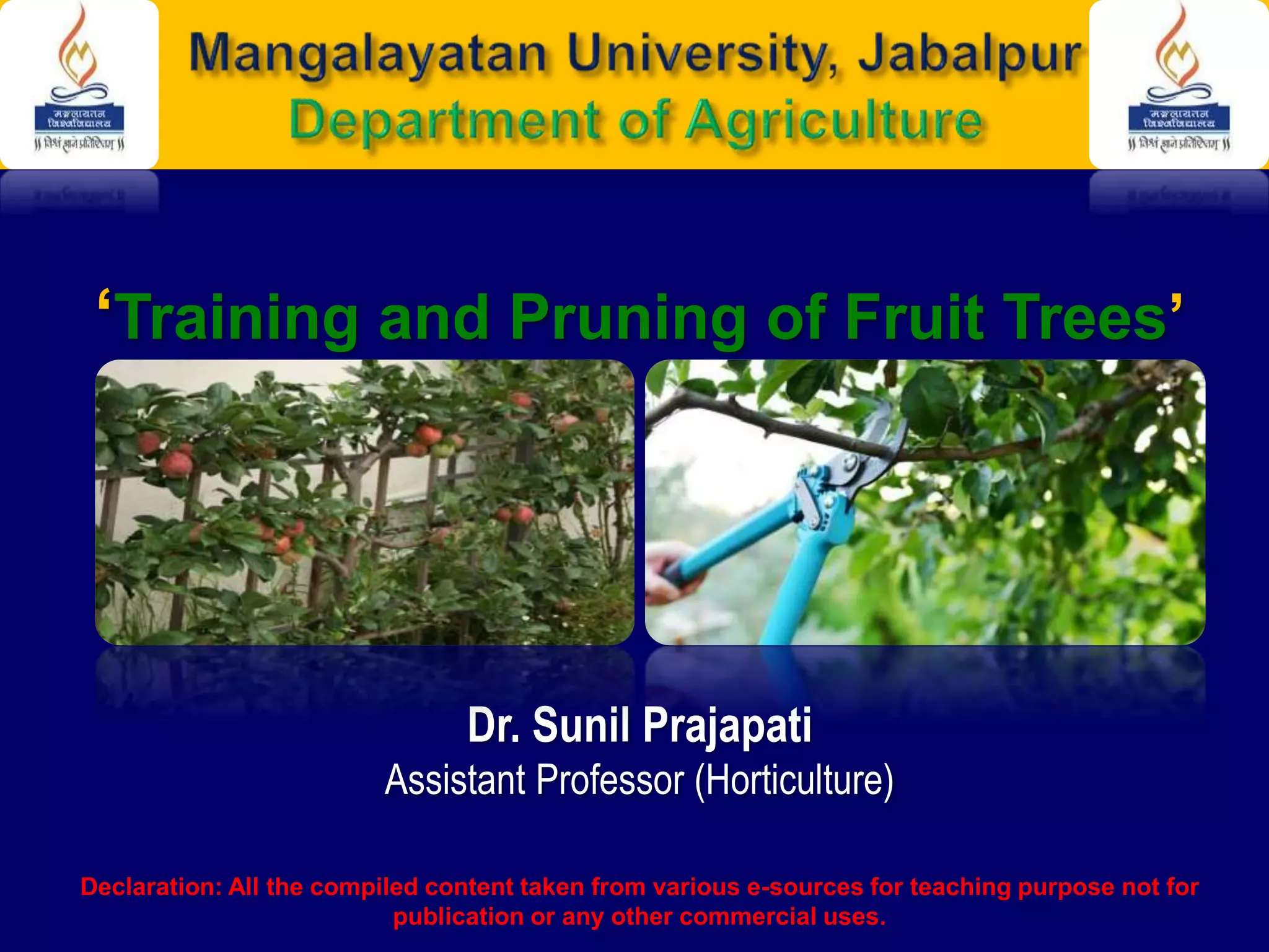Training and Pruning of Fruit Crops | PPTX