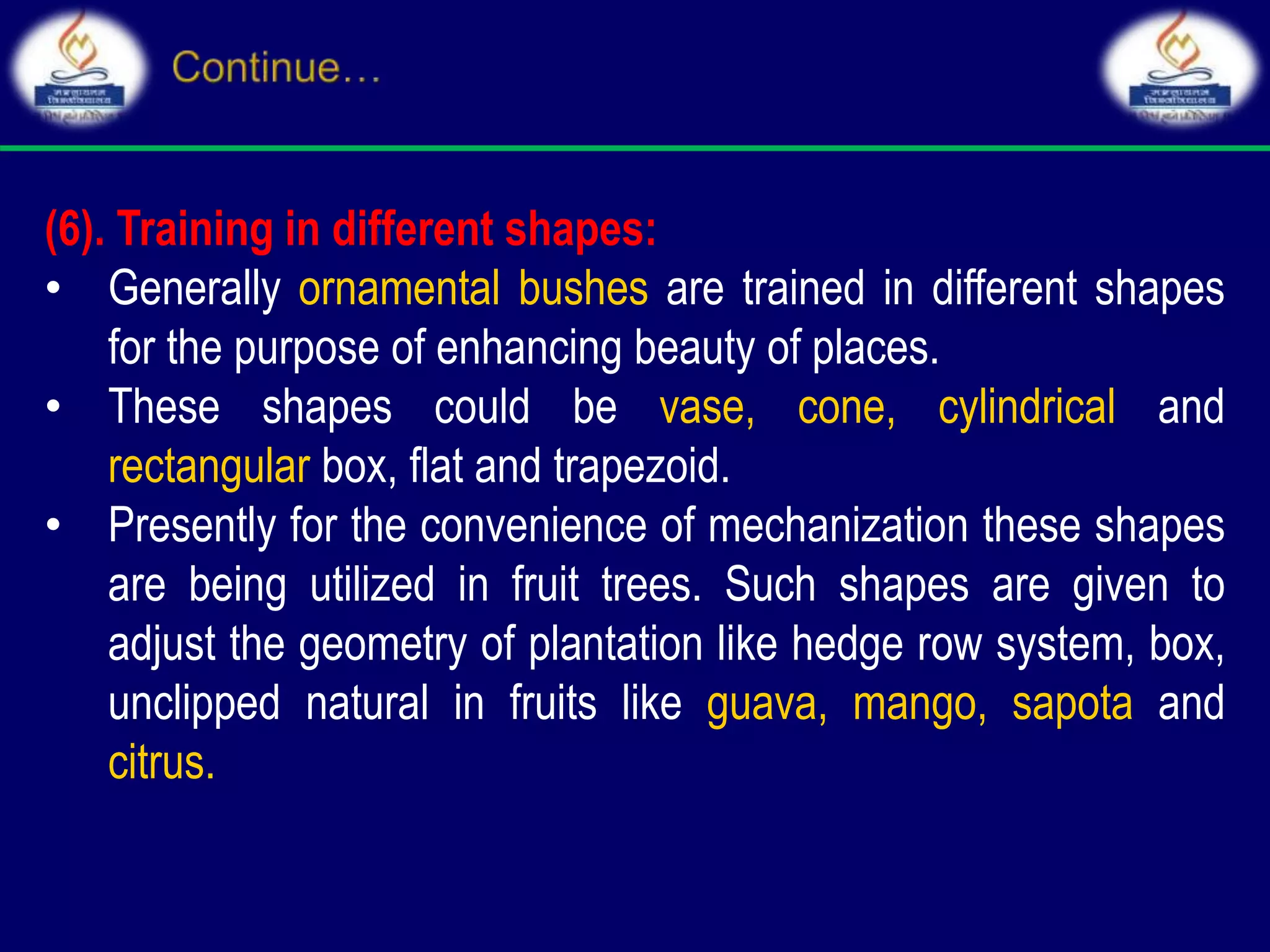 Training and Pruning of Fruit Crops | PPTX