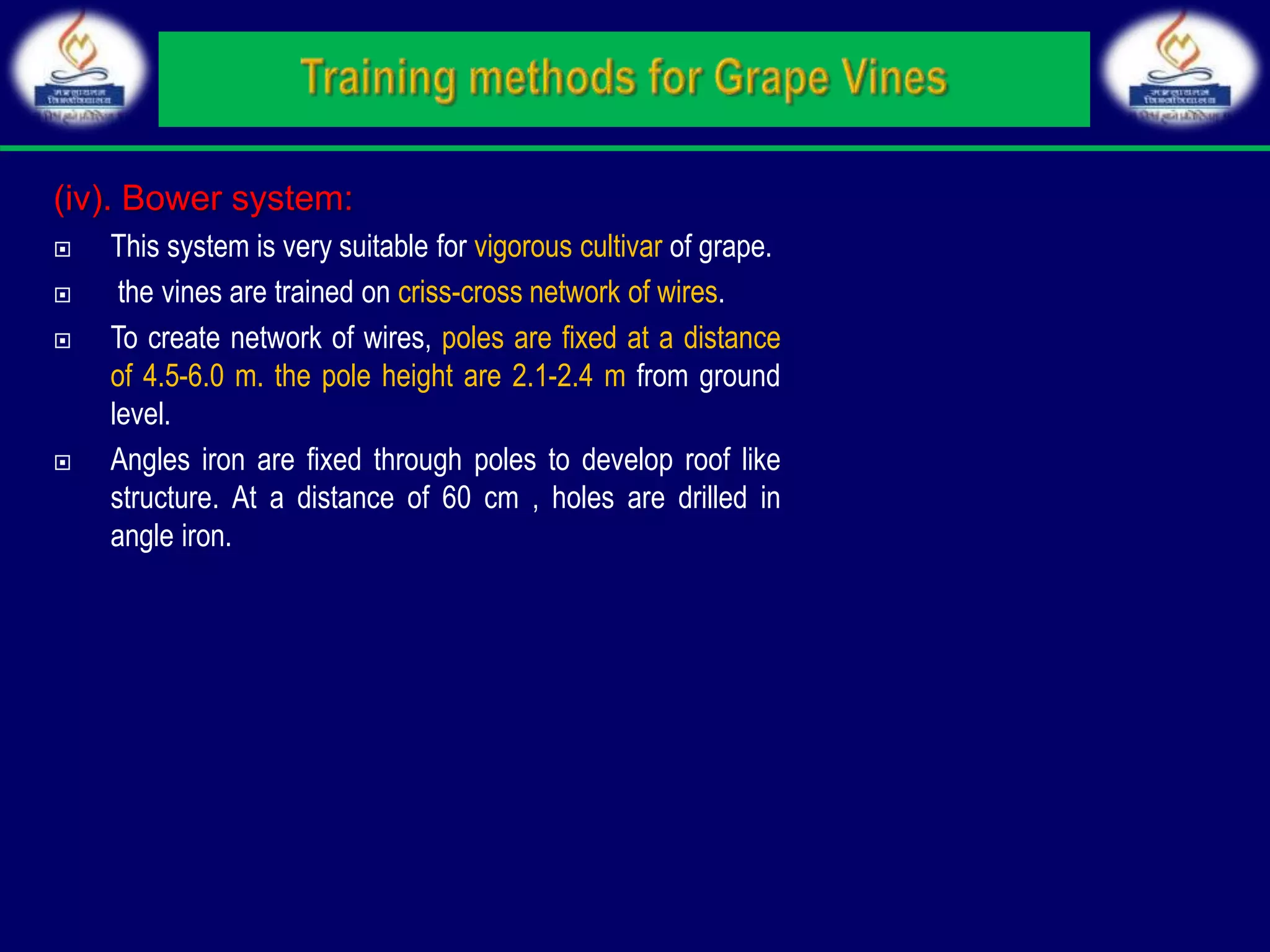 Training and Pruning of Fruit Crops | PPTX
