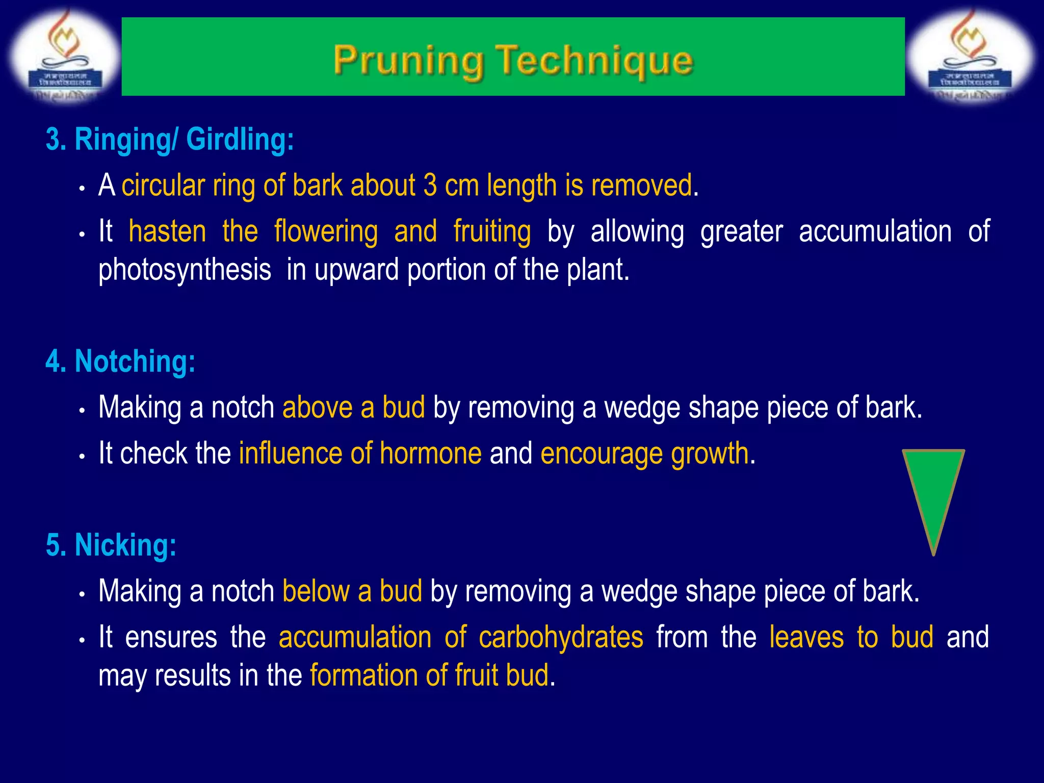 Training and Pruning of Fruit Crops | PPTX