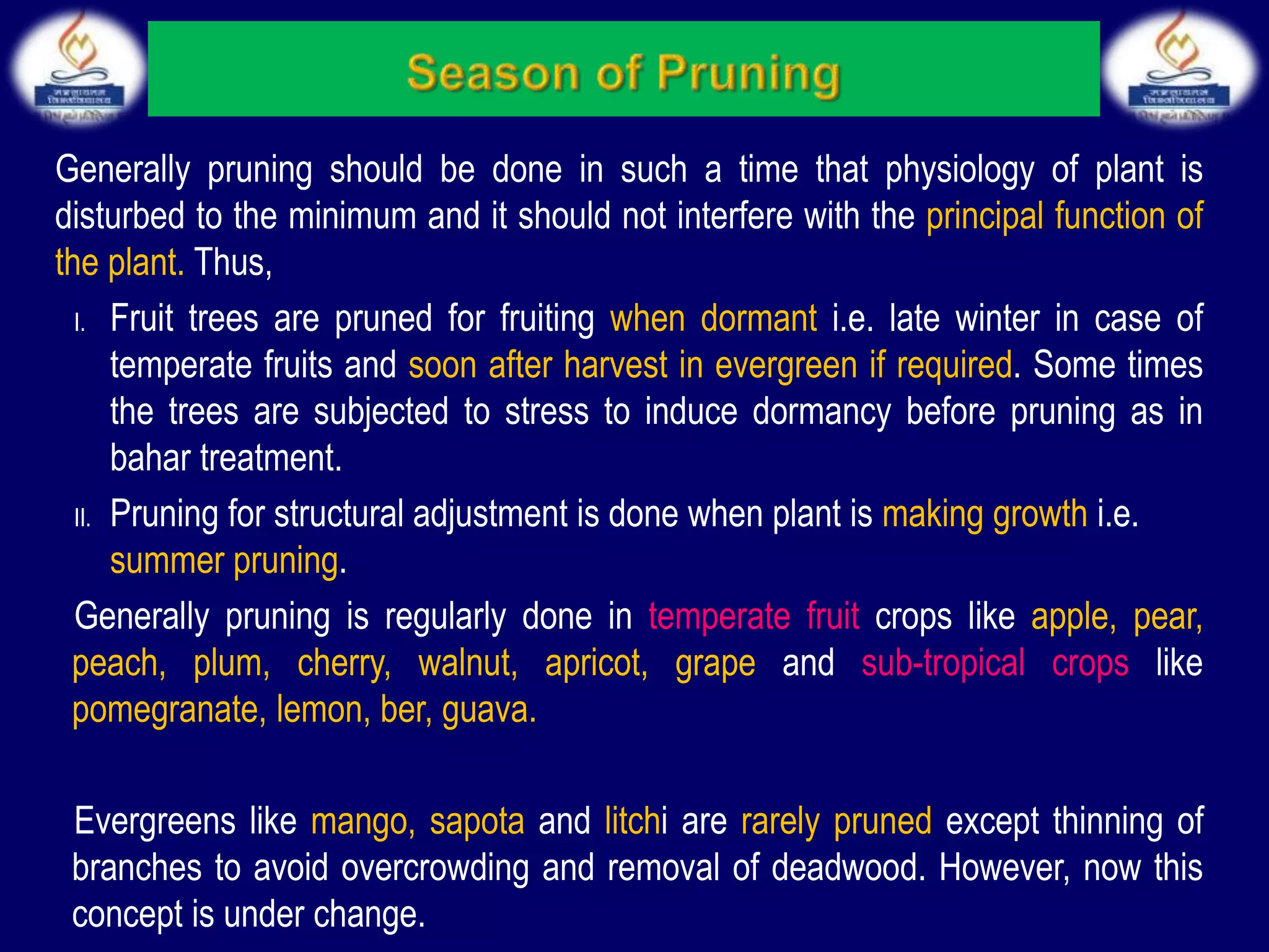 Training and Pruning of Fruit Crops | PPTX
