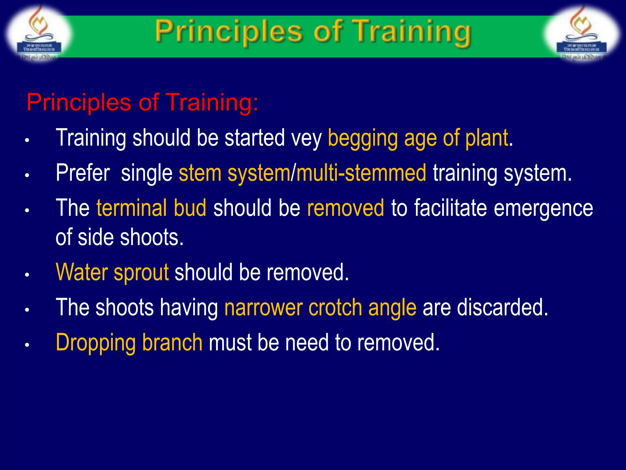 Training and Pruning of Fruit Crops | PPTX