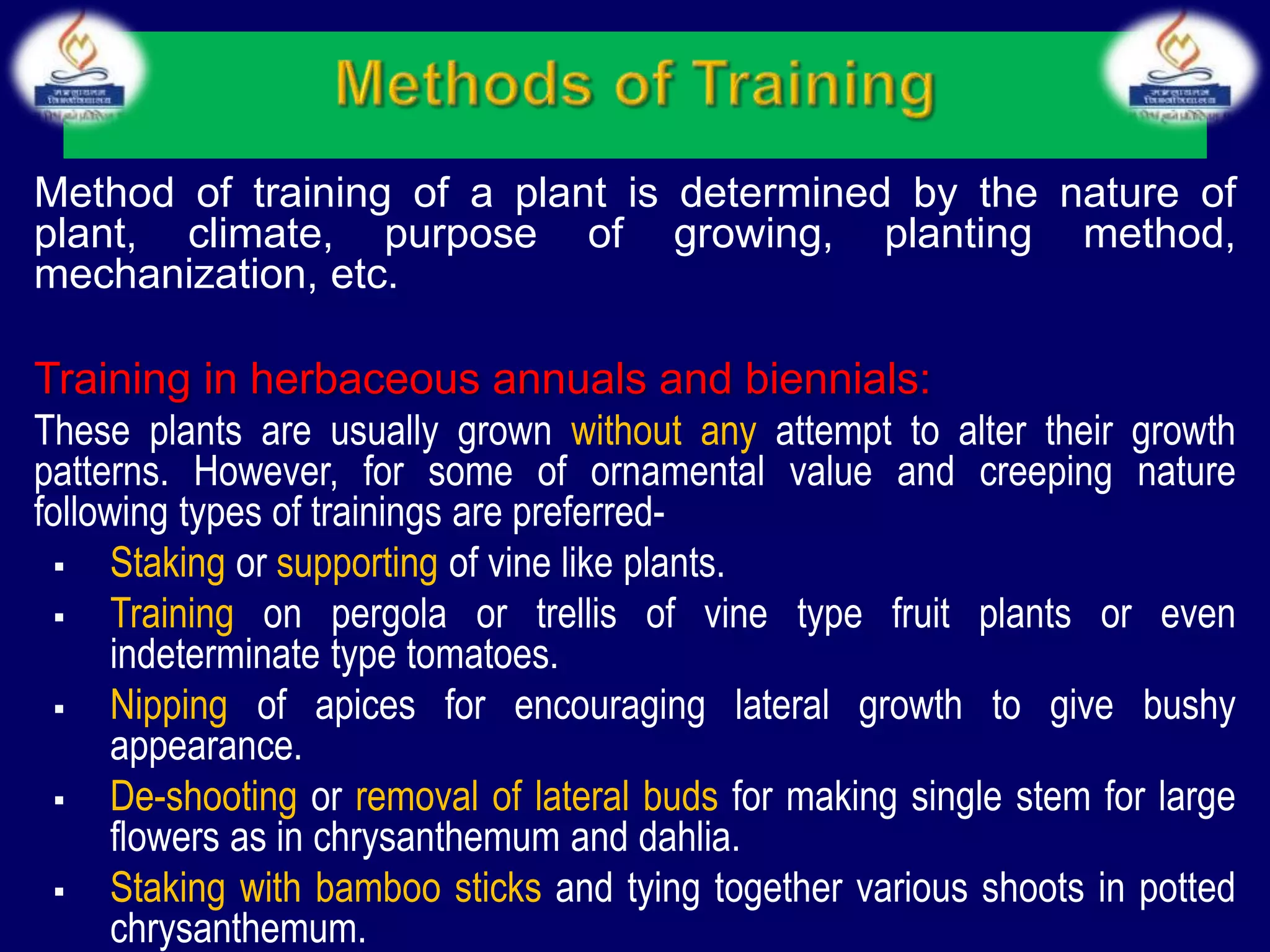 Training and Pruning of Fruit Crops | PPTX