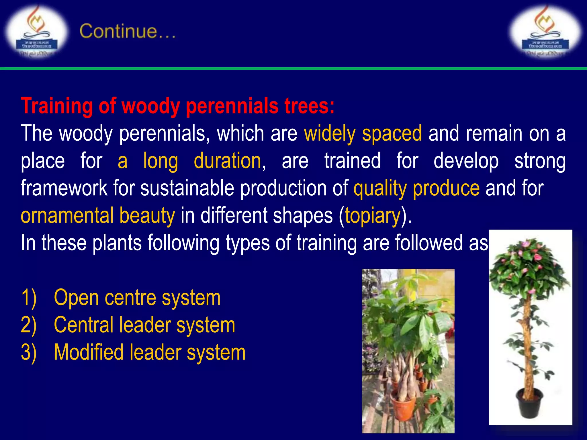 Training and Pruning of Fruit Crops | PPTX