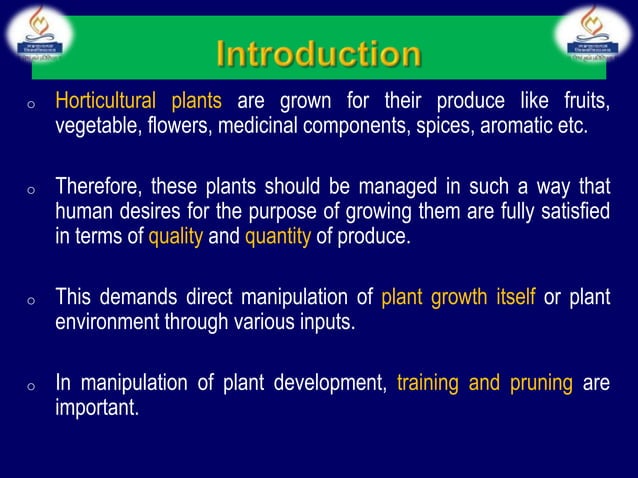 Training and Pruning of Fruit Crops | PPTX
