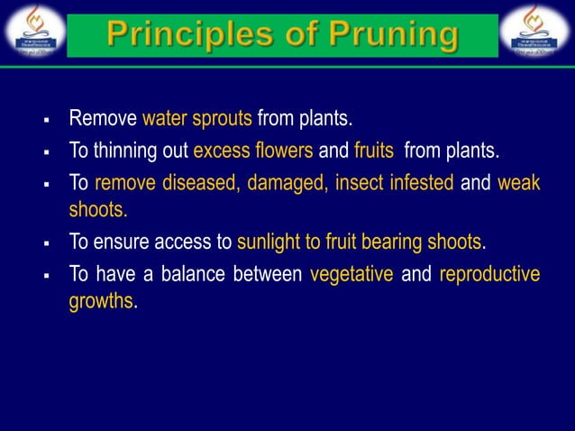 Training and Pruning of Fruit Crops | PPTX