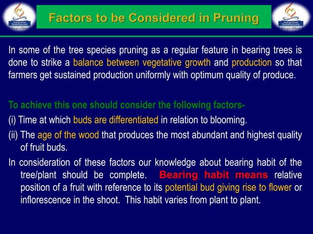 Training and Pruning of Fruit Crops | PPTX