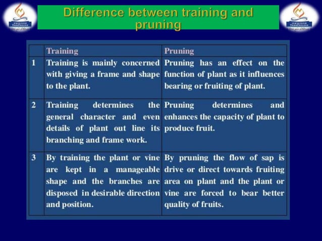 Training and Pruning of Fruit Crops | PPTX