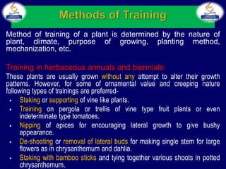 Training and Pruning of Fruit Crops | PPTX