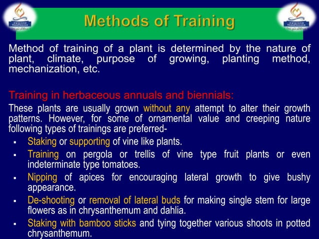Training and Pruning of Fruit Crops | PPTX