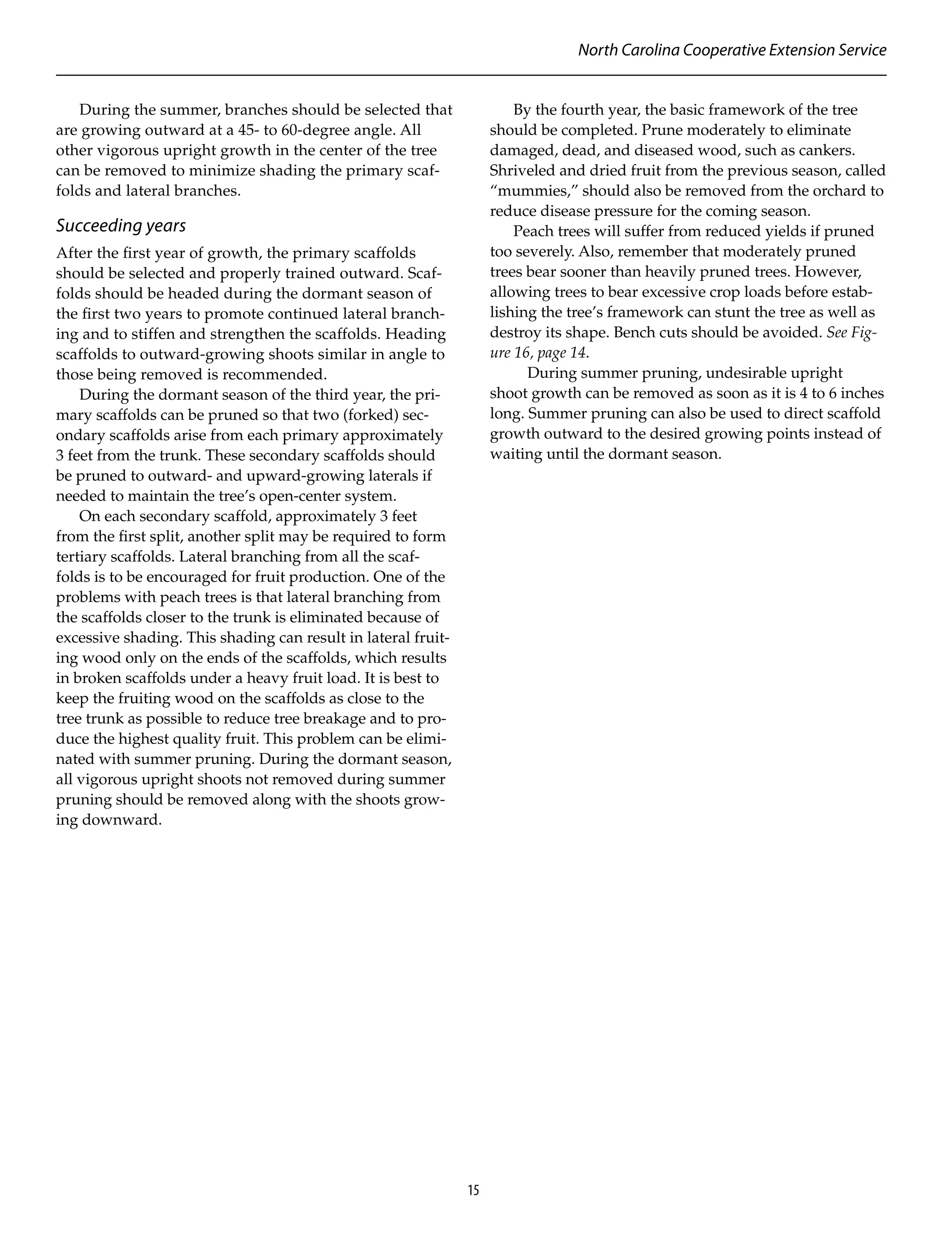 Training and pruning fruit trees | PDF