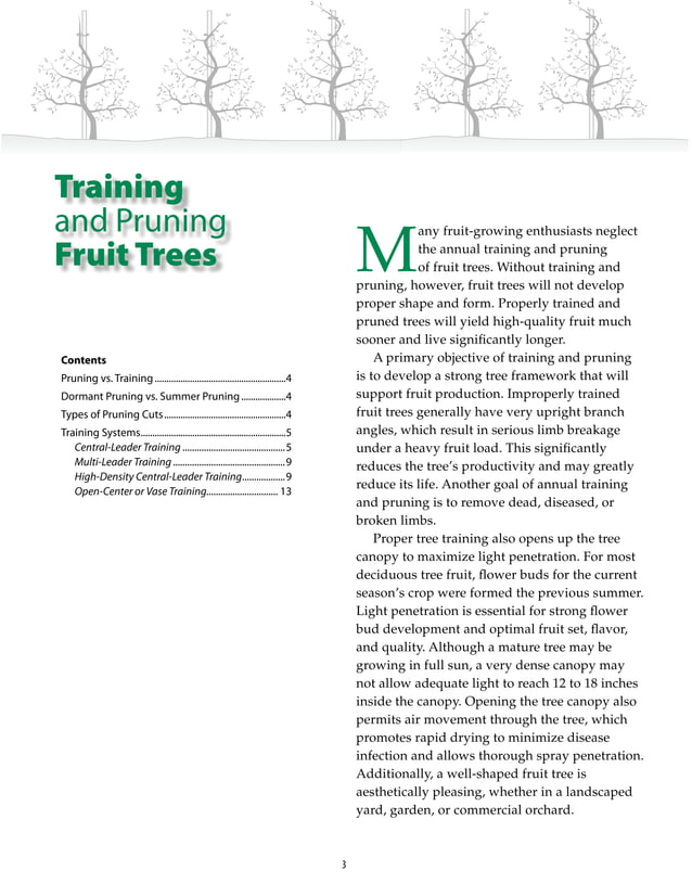 Training and pruning fruit trees | PDF