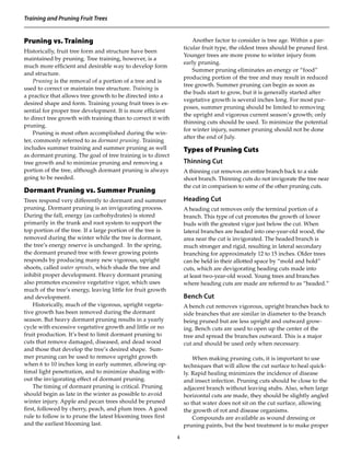 Training and pruning fruit trees | PDF