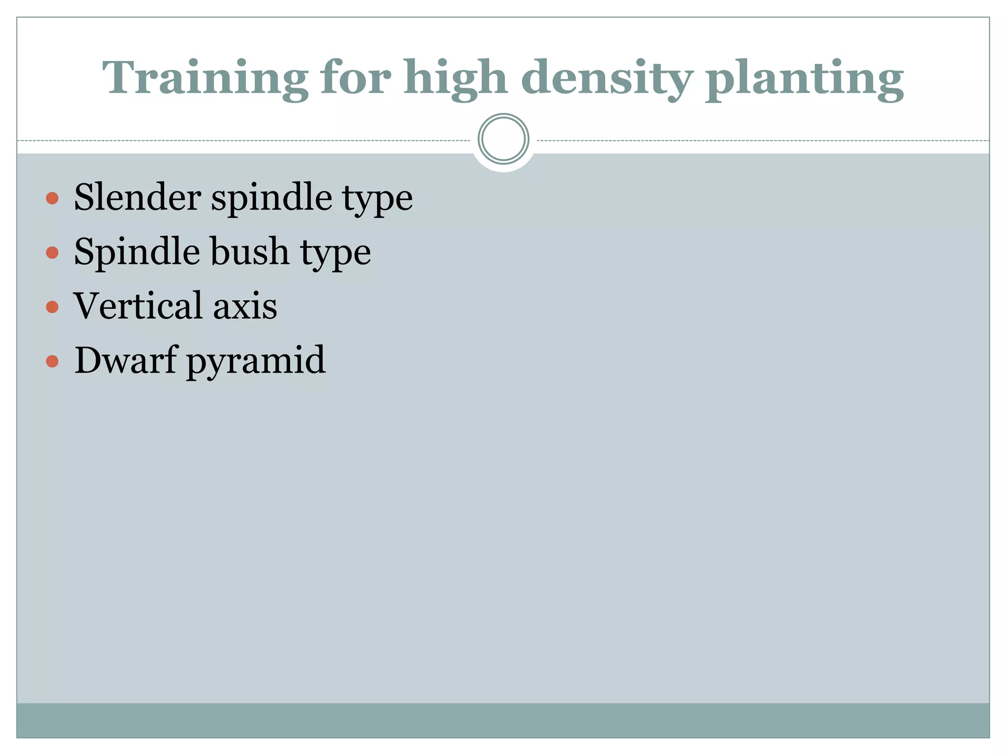 Training and pruning in apple | PPTX