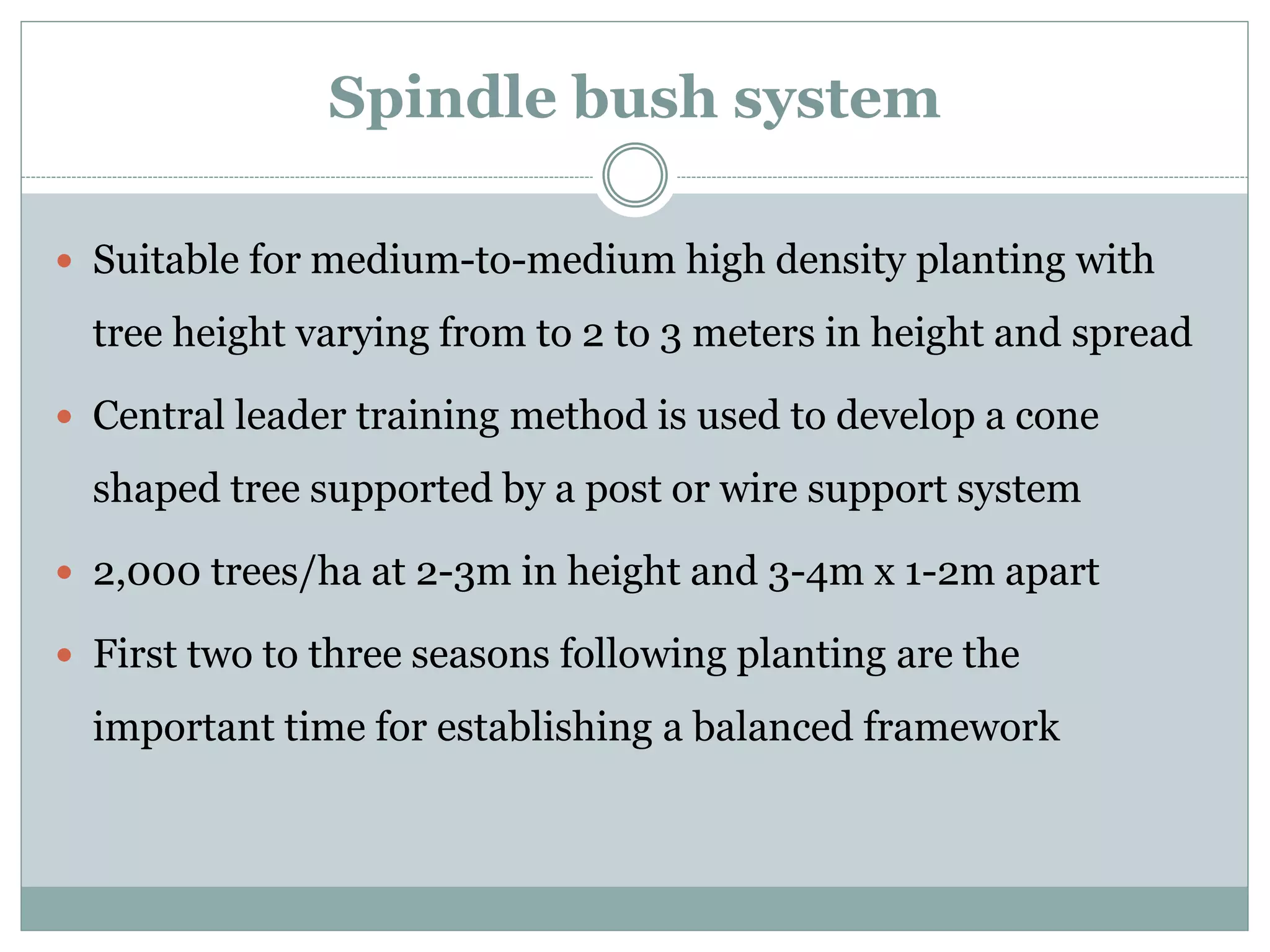 Training and pruning in apple | PPTX