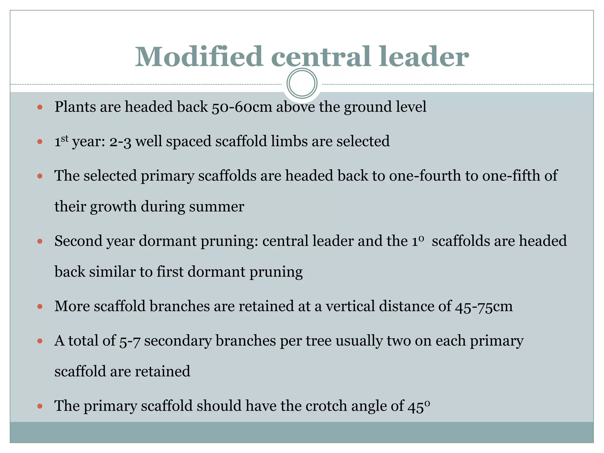 Training and pruning in apple | PPTX