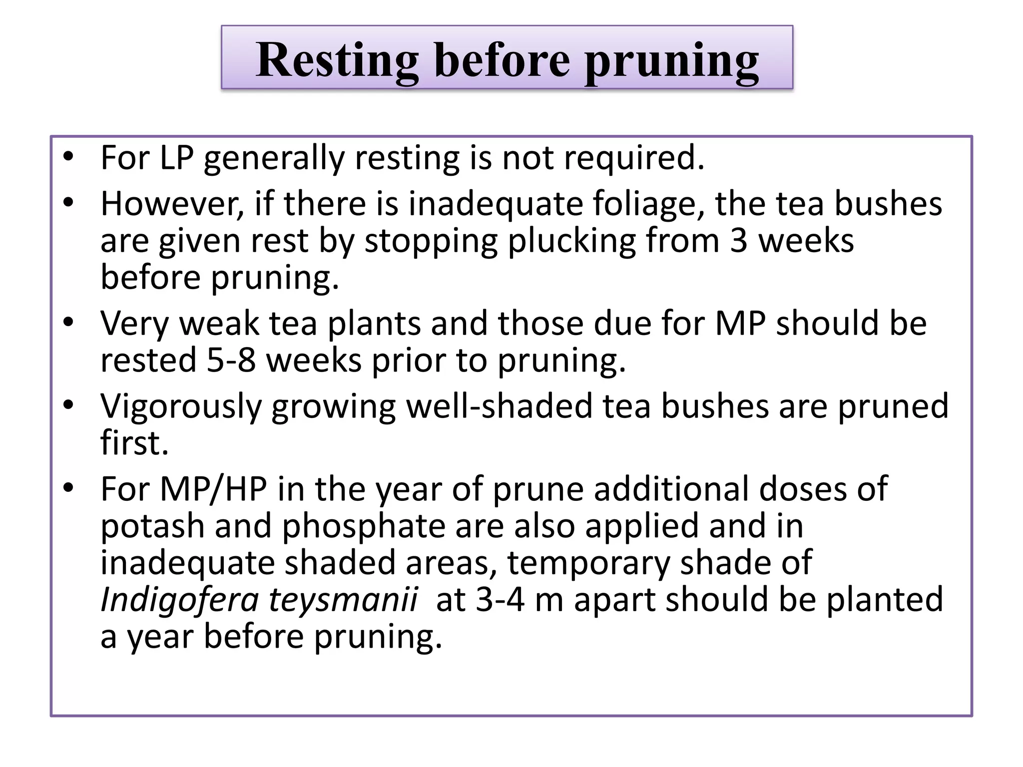 Training and pruning in tea By- Shivanand M.R | PPTX