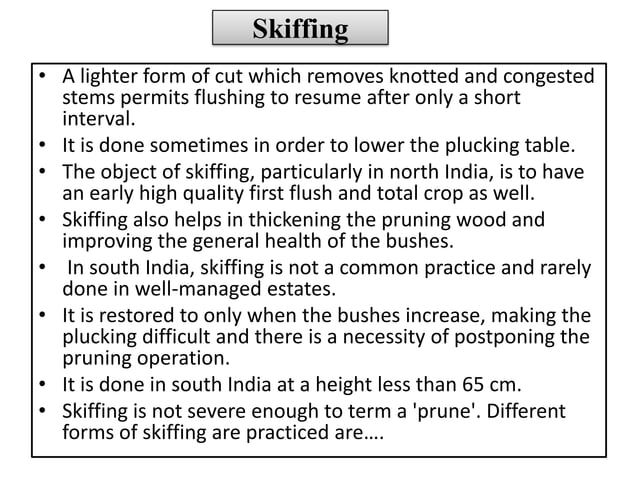 Training and pruning in tea By- Shivanand M.R | PPTX