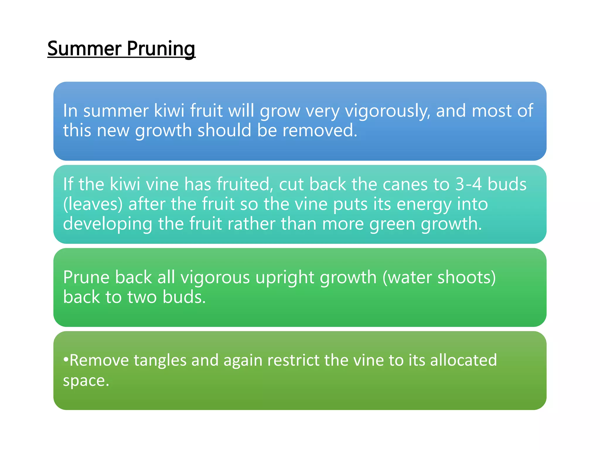 Training and pruning of Kiwi.pptx