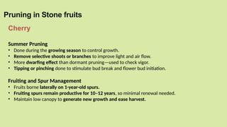 training and pruning of stone fruits.pptx