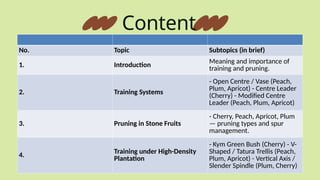 training and pruning of stone fruits.pptx
