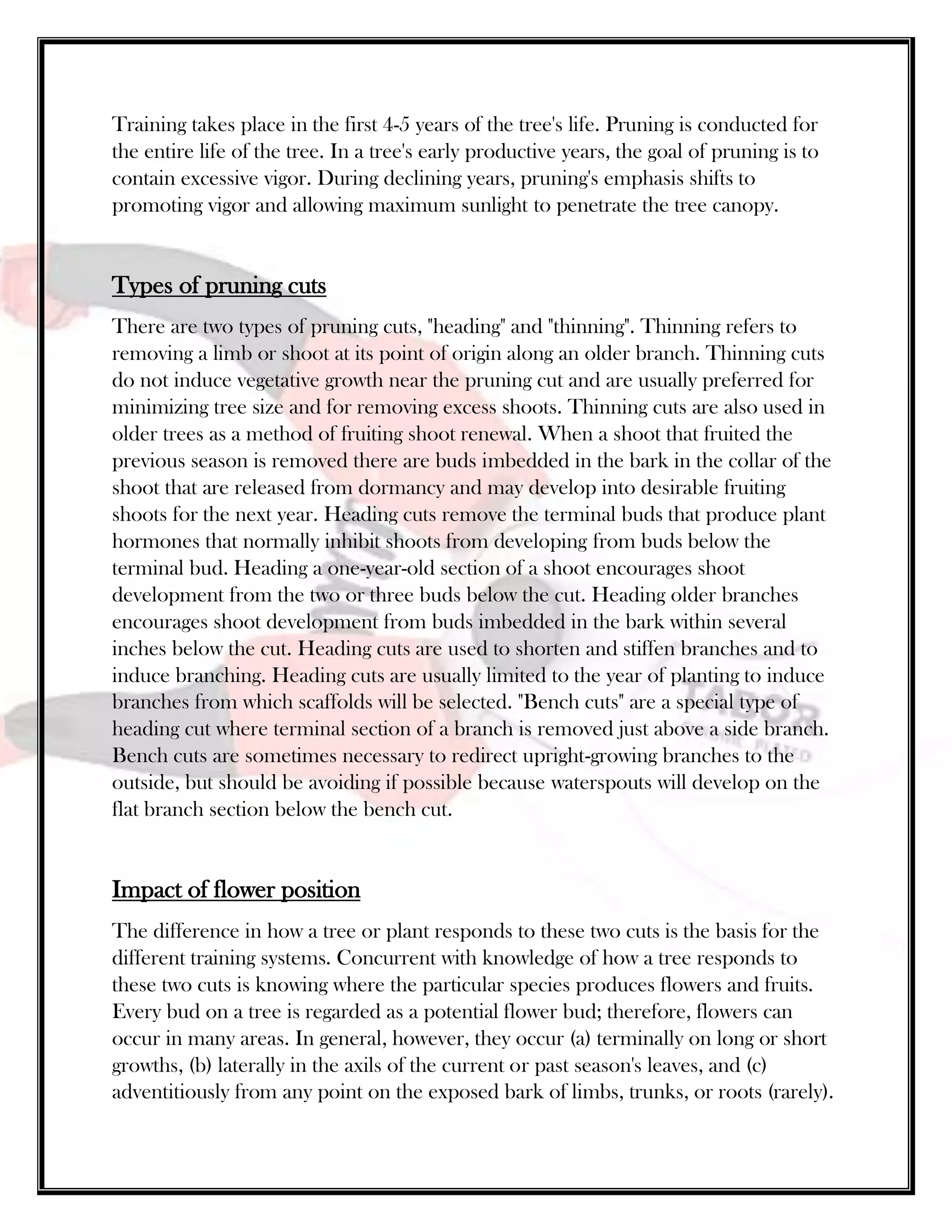 Training and prunning | PDF