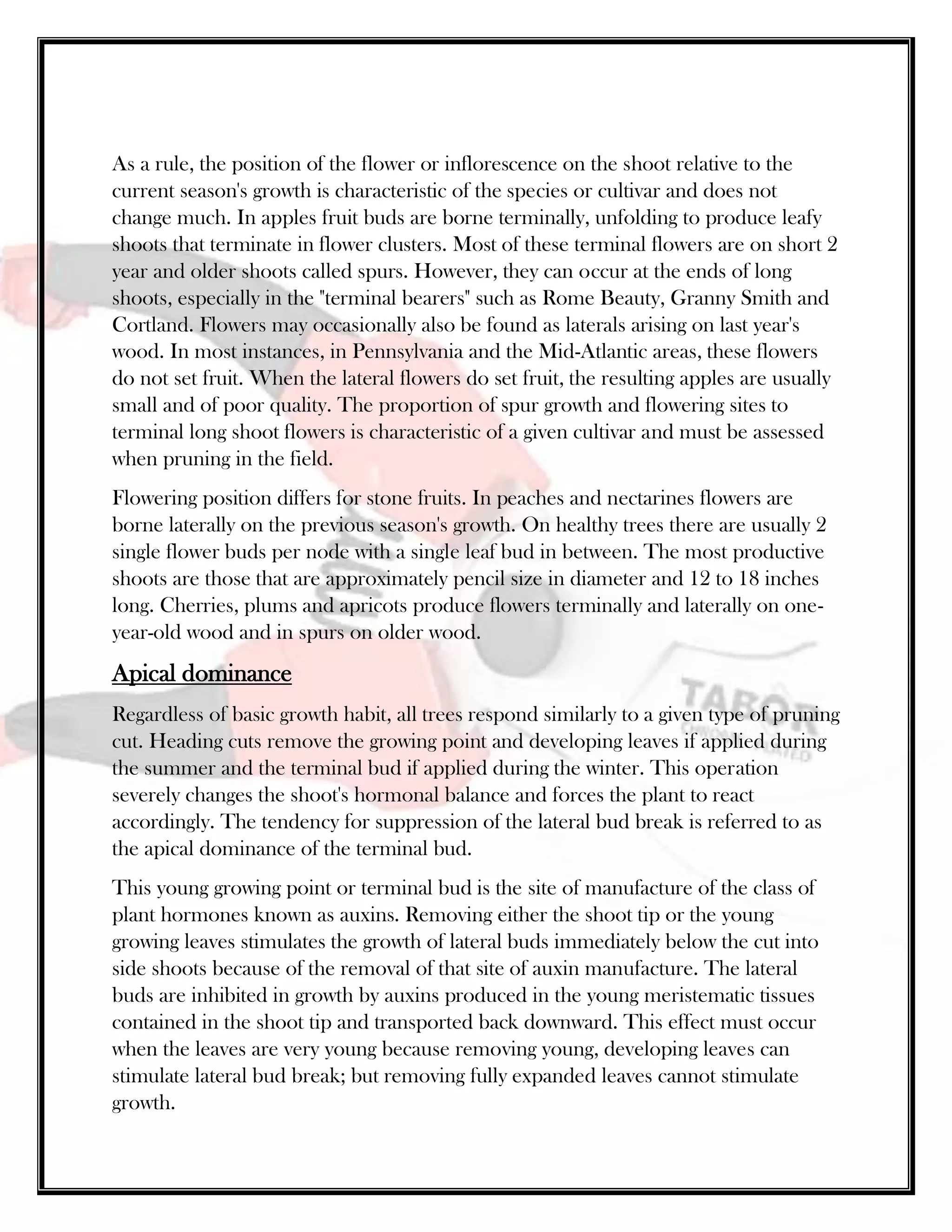 Training and prunning | PDF