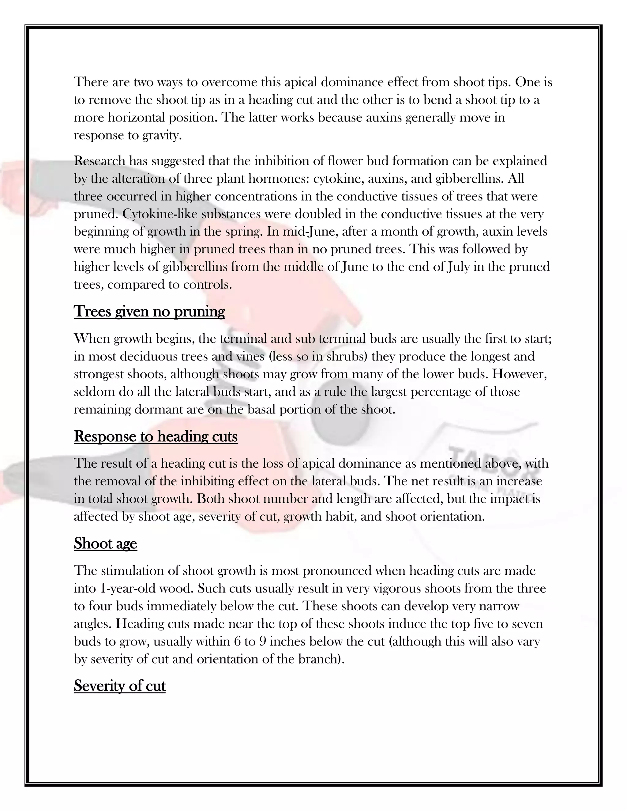Training and prunning | PDF