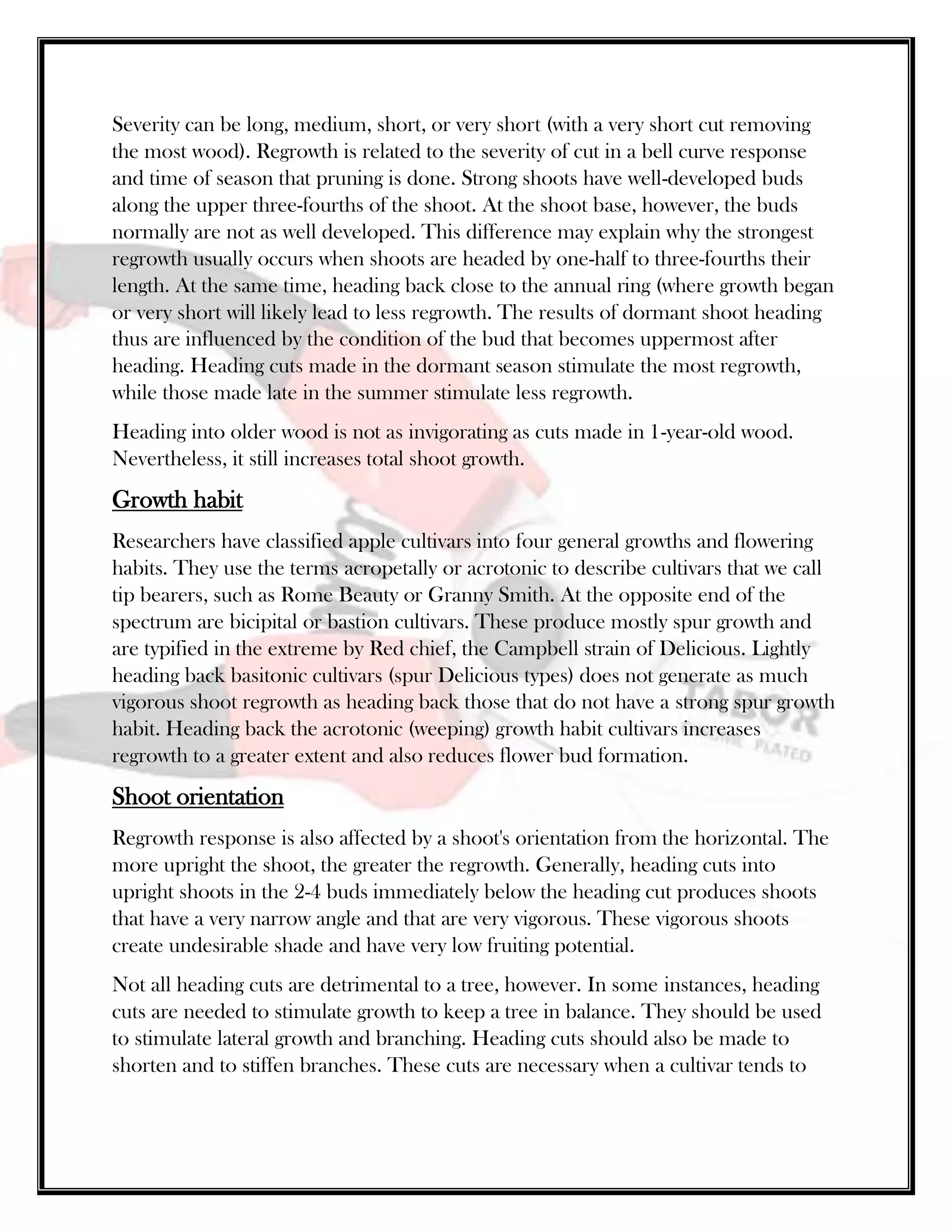 Training and prunning | PDF