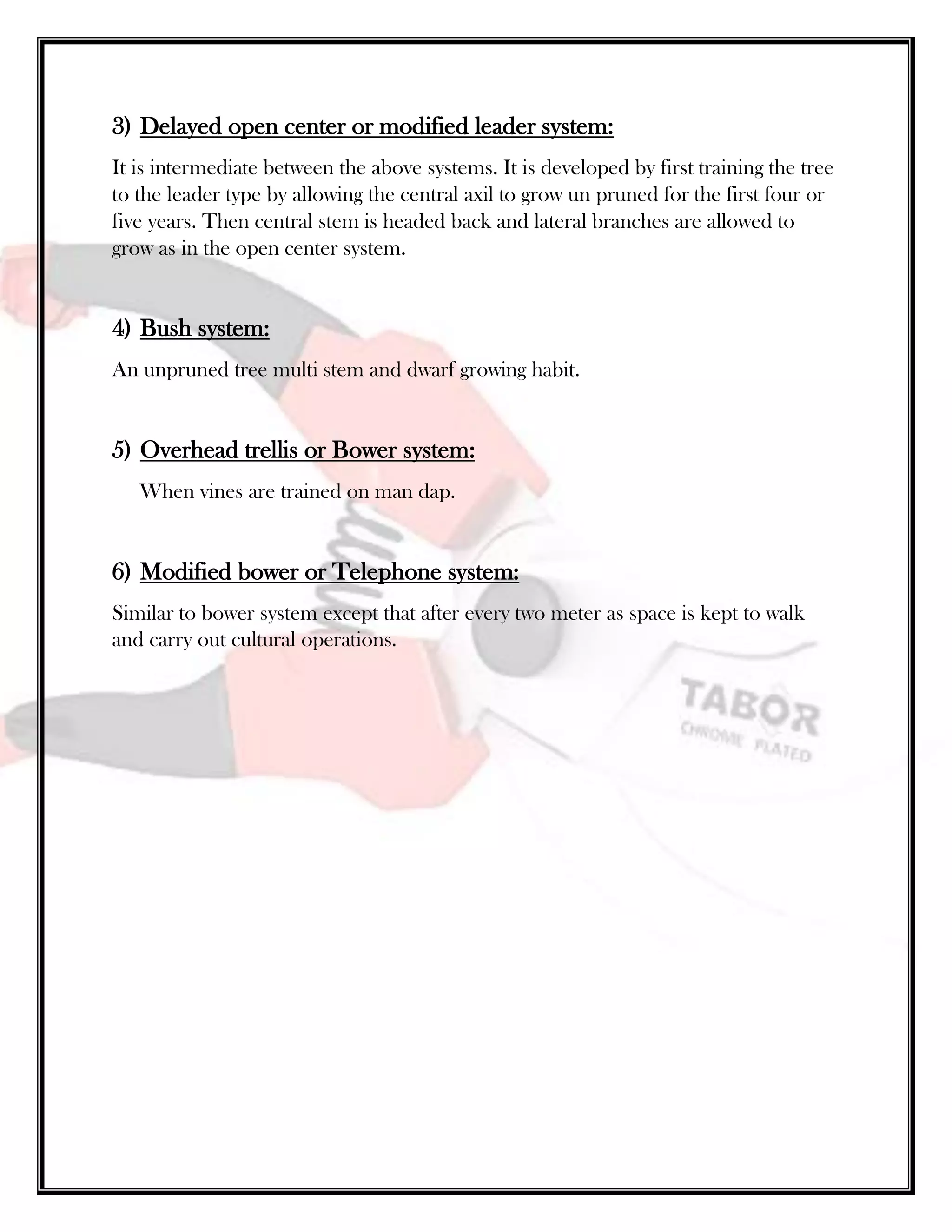 Training and prunning | PDF