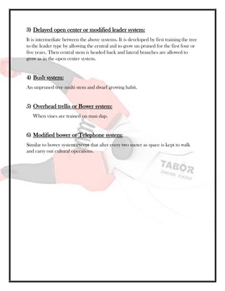 Training and prunning | PDF