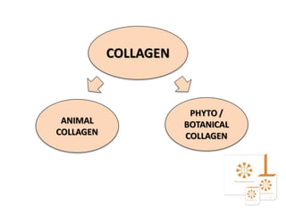 Training botanical colagen | PPT