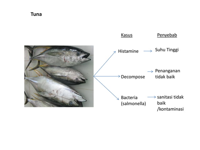 FOOD SAFETY AND QUALITY (Kemanan Pangan dan Mutu) | PDF