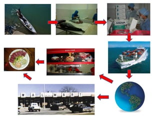 FOOD SAFETY AND QUALITY (Kemanan Pangan dan Mutu) | PDF