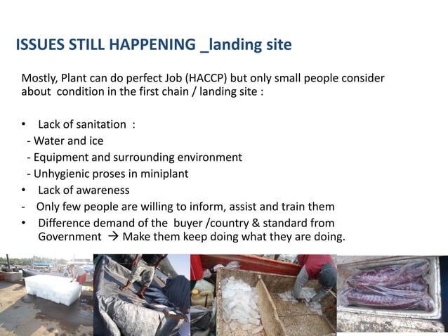 FOOD SAFETY AND QUALITY (Kemanan Pangan dan Mutu) | PDF