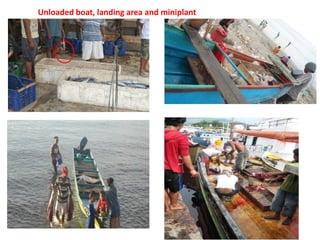 FOOD SAFETY AND QUALITY (Kemanan Pangan dan Mutu) | PDF