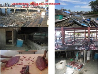 FOOD SAFETY AND QUALITY (Kemanan Pangan dan Mutu) | PDF