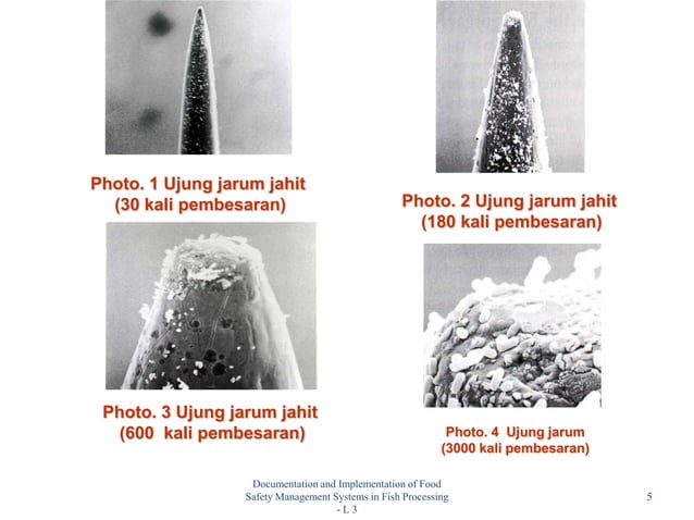 FOOD SAFETY AND QUALITY (Kemanan Pangan dan Mutu) | PDF