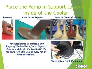 Training crimp | PPT