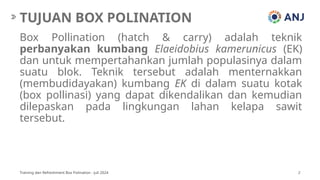 Training dan Refreshment Box Polination.pptx