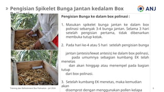 Training dan Refreshment Box Polination.pptx