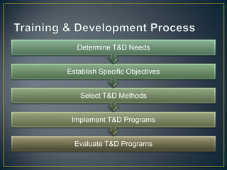 training & development ppt | PPTX
