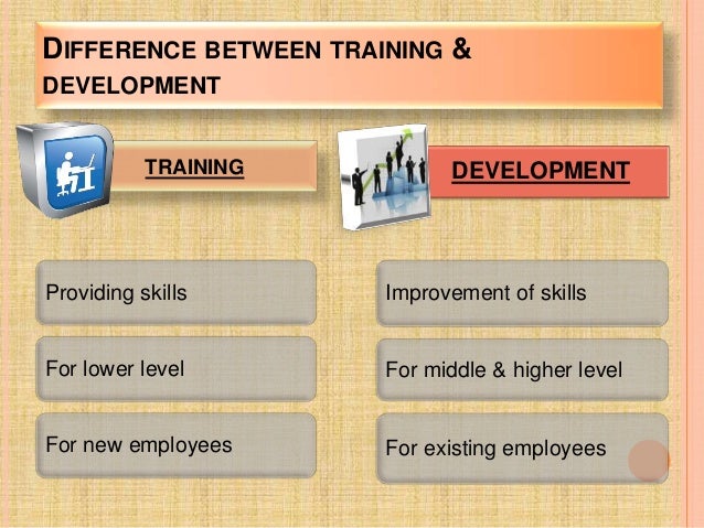 Training & development