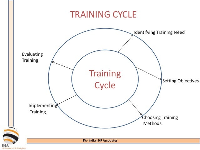 Training & Development