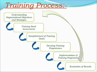 Training And Development Process