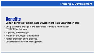 TRAINING AND DEVELOPMENT PPT | PPT