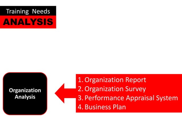 Training & Development Process | PDF