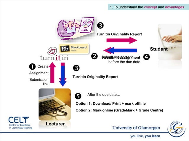 Training for turnitin2 through blackboard | PPT