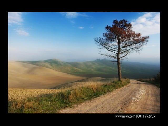 Fotografi Dasar | The Rule of Third, Point of Interest & Eksposure | PDF