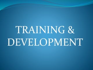 Training (HRM).pptx | Human Resources | Business
